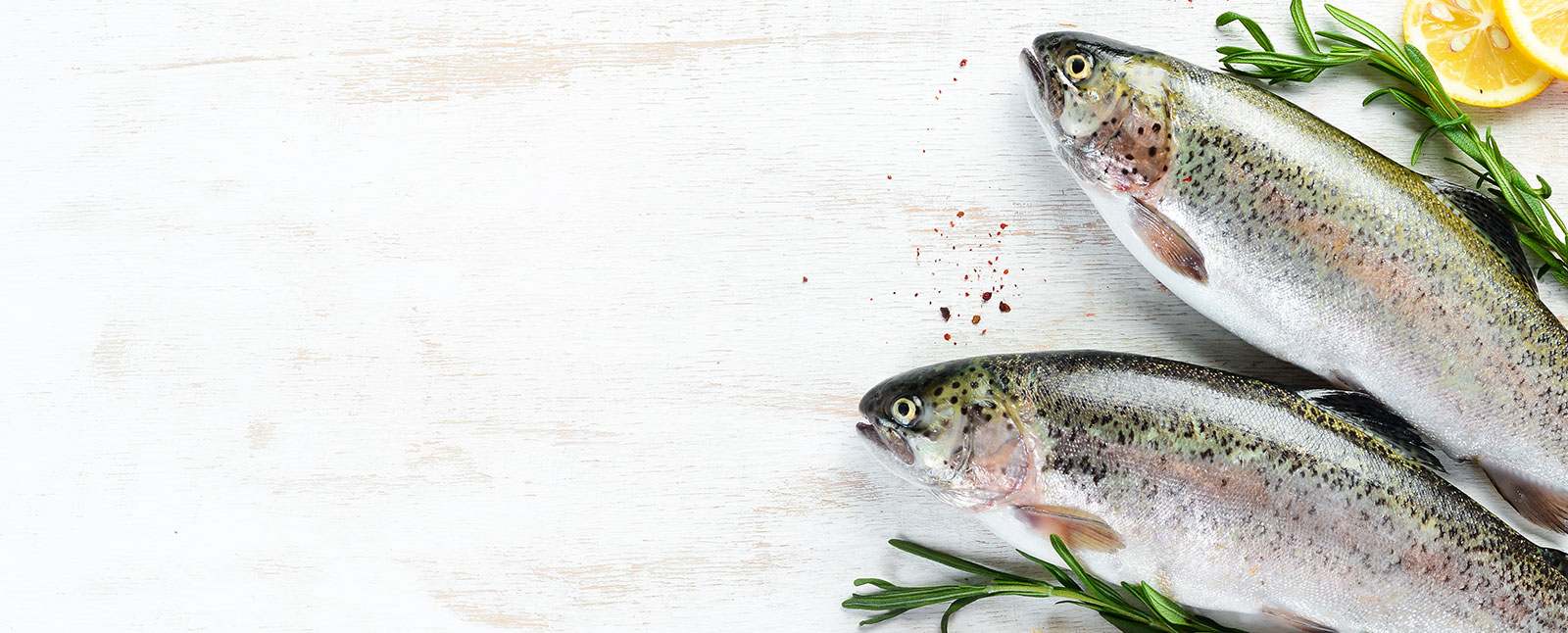 Forellenzucht Dettmeyer | Home