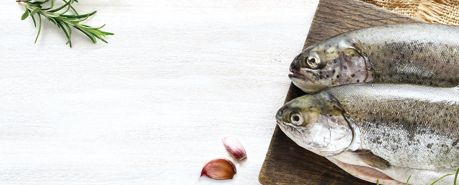 Forellenzucht Dettmeyer | Home